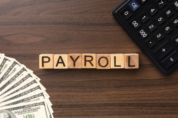 ERP vs. HRIS: Which is Best for HR and Payroll Software Management ...